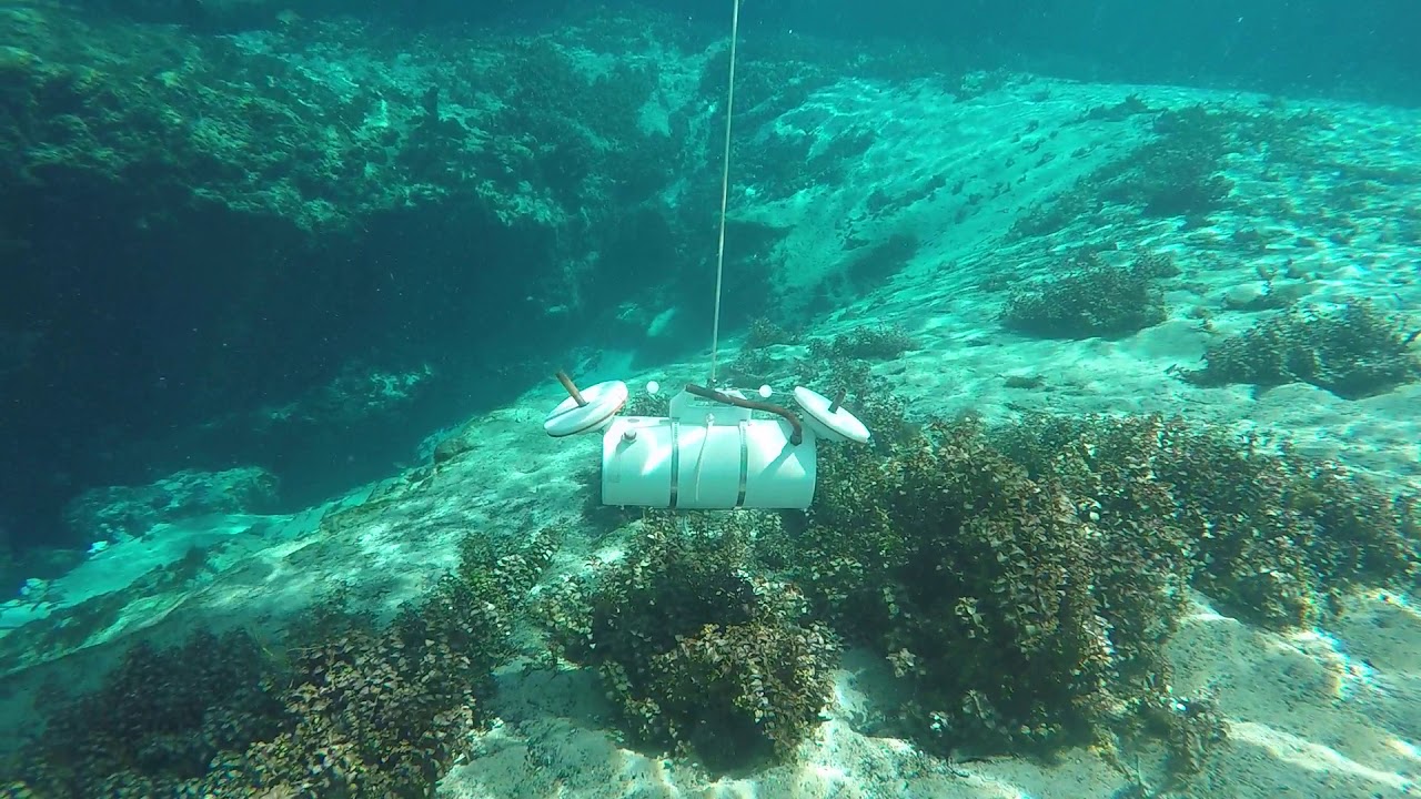 Deploying a handheld (5L) horizontal water sampler - YouTube