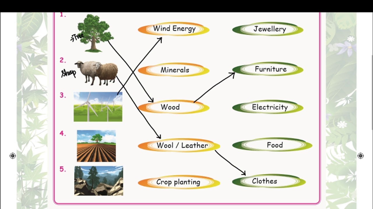 Samacheer Kalvi | Class 3 | Science |Term 3 | Unit 1 | Our Environment ...