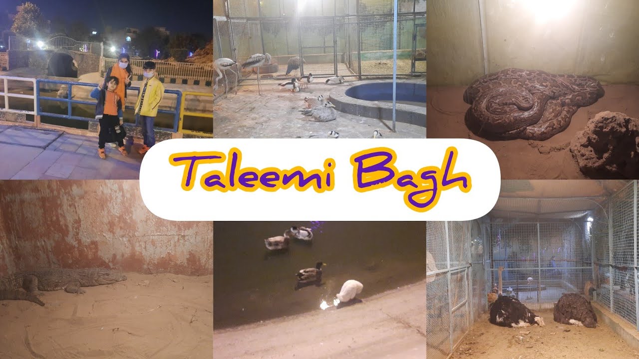 My Old memories in Taleemi bagh - YouTube