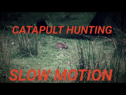 Catapult / Slingshot Hunting in slow motion - YouTube