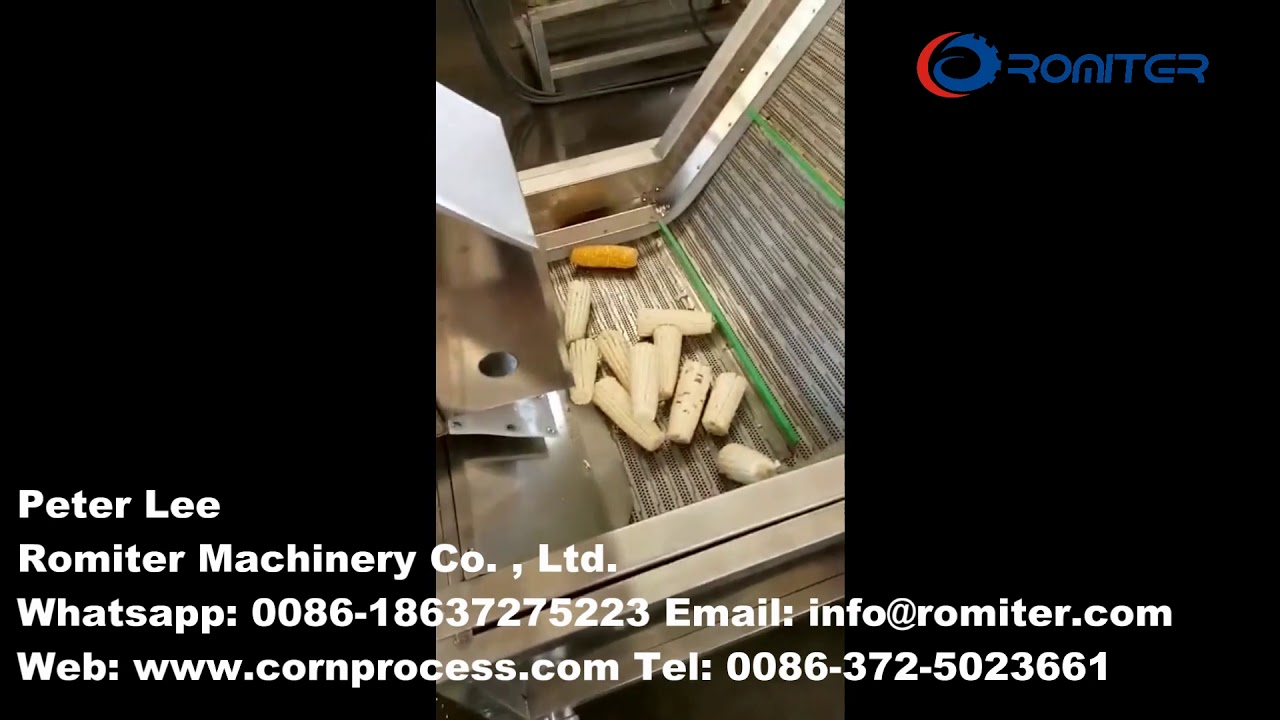 Automatic Sweet Corn Topper Cutting Machine - YouTube
