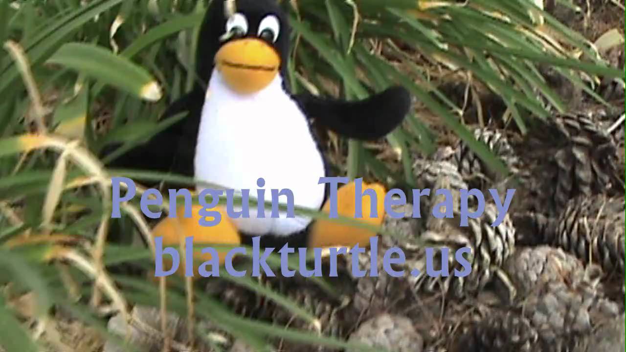 Penguin Therapy - YouTube