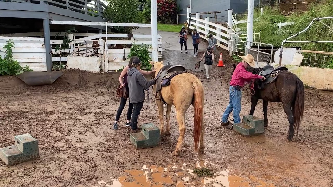 Horseback Riding on Mendes Ranch, Maui 2021 - YouTube
