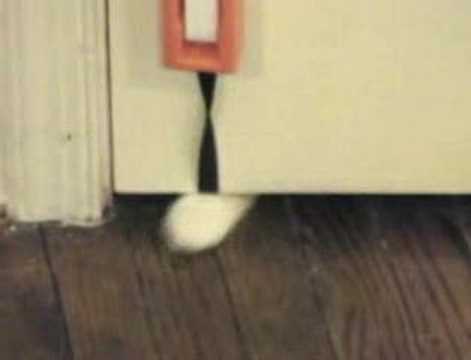 Fling-ama-String In Action - YouTube