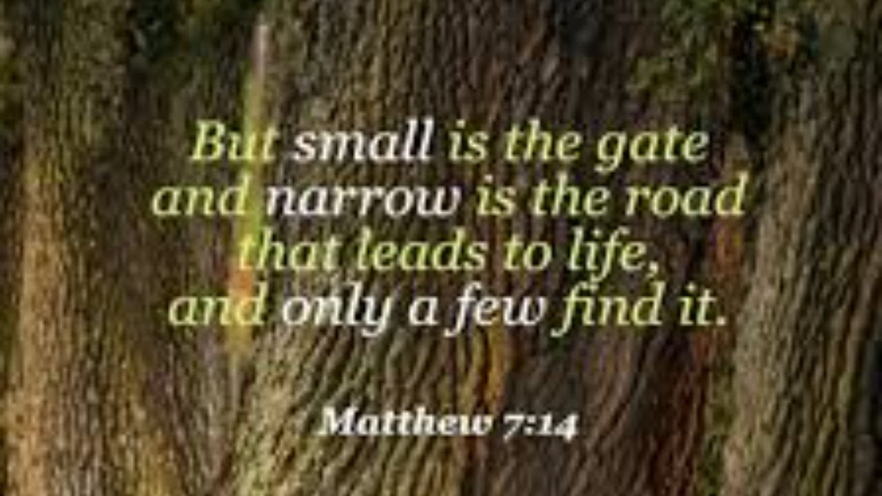 THE TRUTH OF THE NARROW PATH: WHY DO YOU CALL ME MASTER AND NOT KEEP MY ...