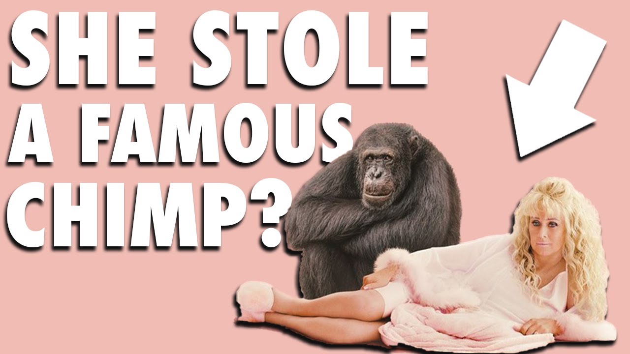 Chimp Crazy is Absolutely Insane - YouTube