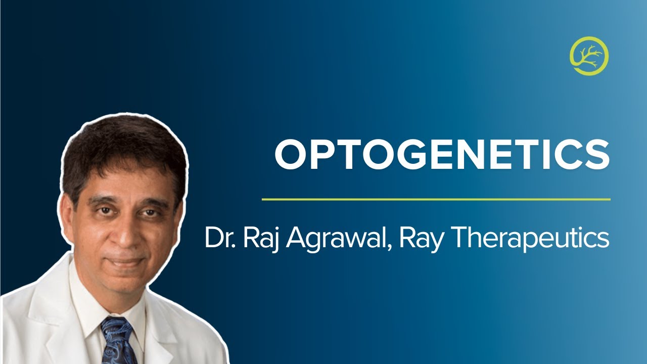 Optogenetics with Dr. Raj Agrawal, Ray Therapeutics | 2025 CRF ...
