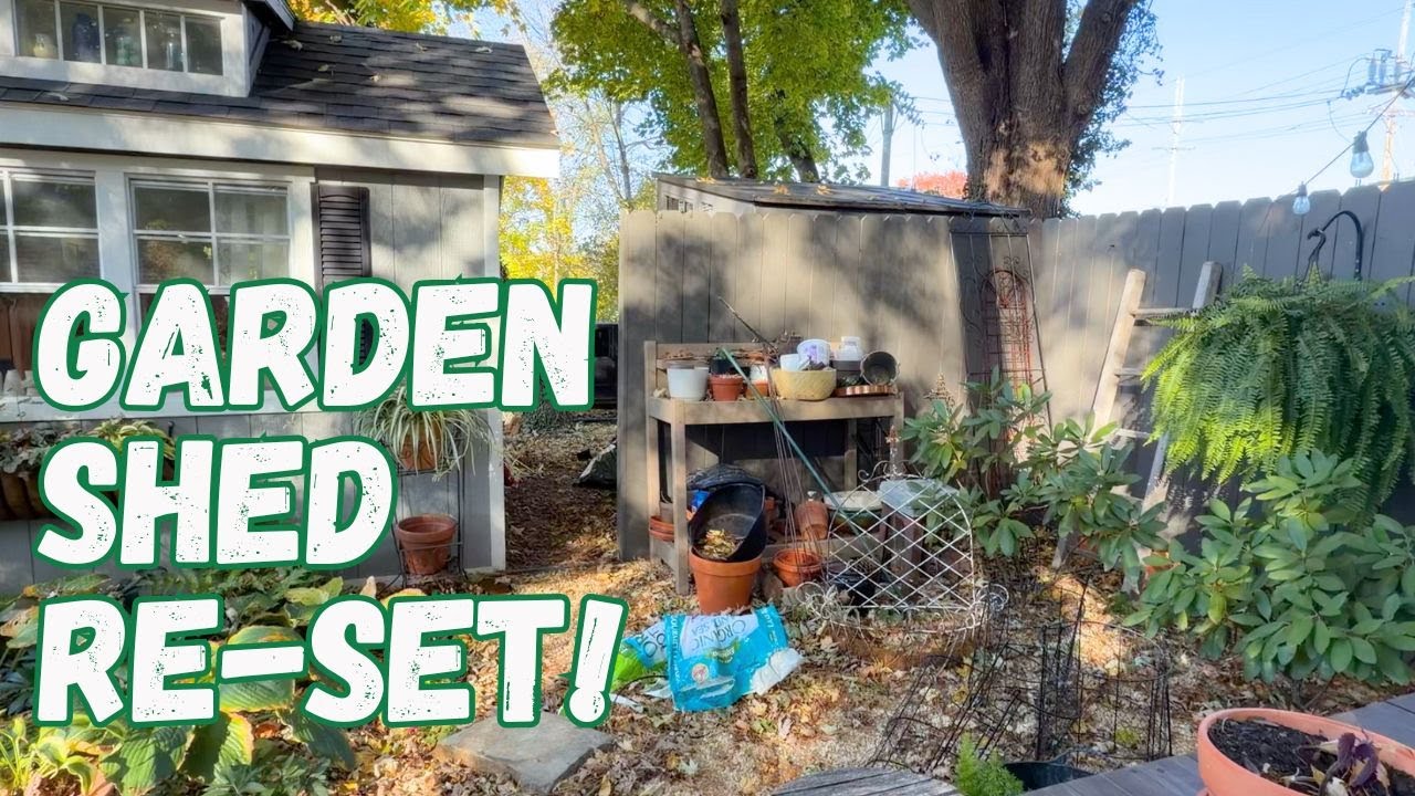 The Great Shed Clean-Up | Resetting My Garden Sheds for a New Season ...