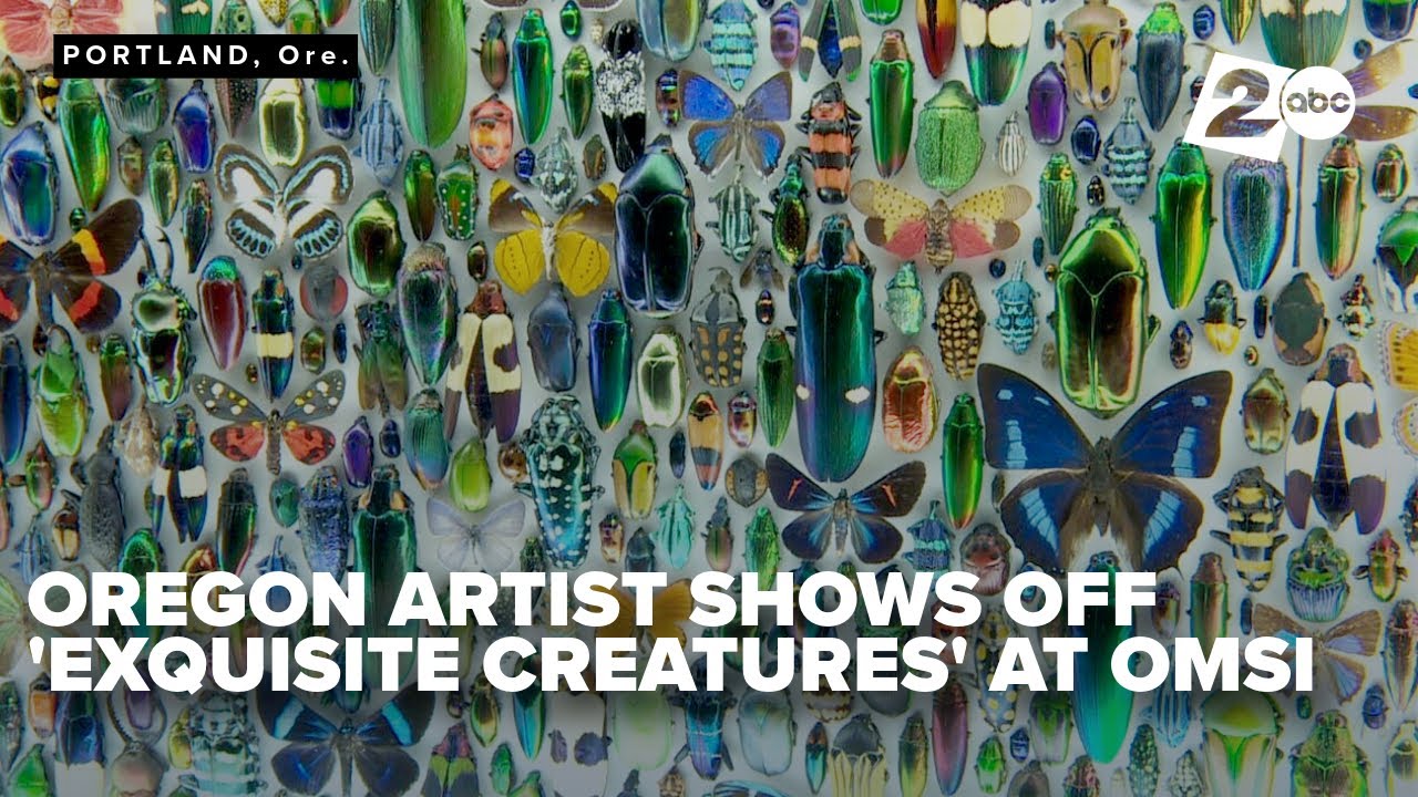 Exquisite Creatures Revealed exhibit at OMSI offers artistic look at ...