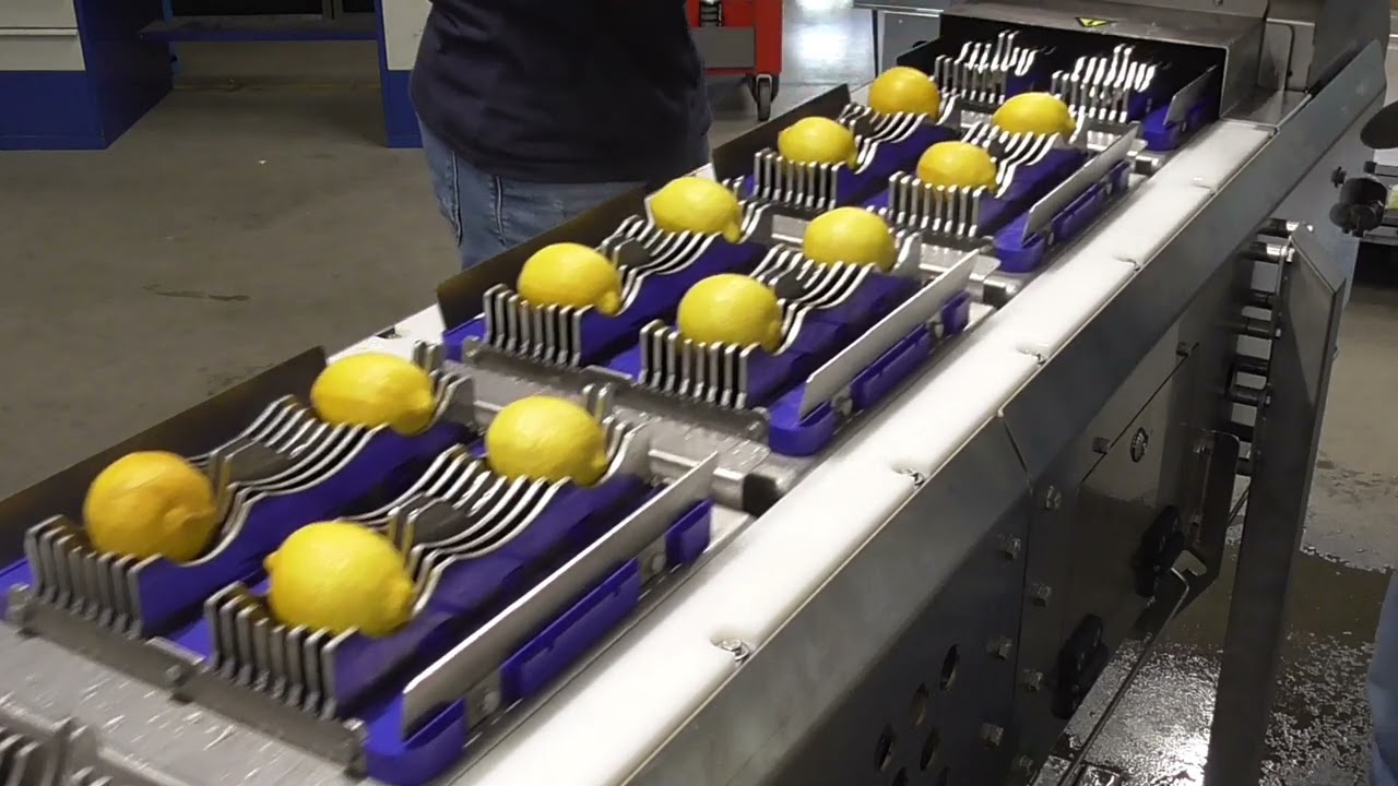 Fruitcutter e-line Citrus - YouTube