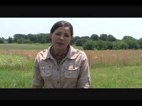 Sheila Camp V-blog - YouTube