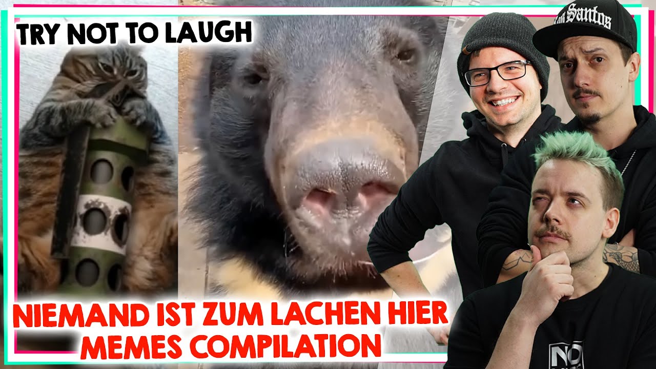 Wir sind NICHT zum LACHEN hier! TRY NOT TO LAUGH | BEST MEME EDITION ...