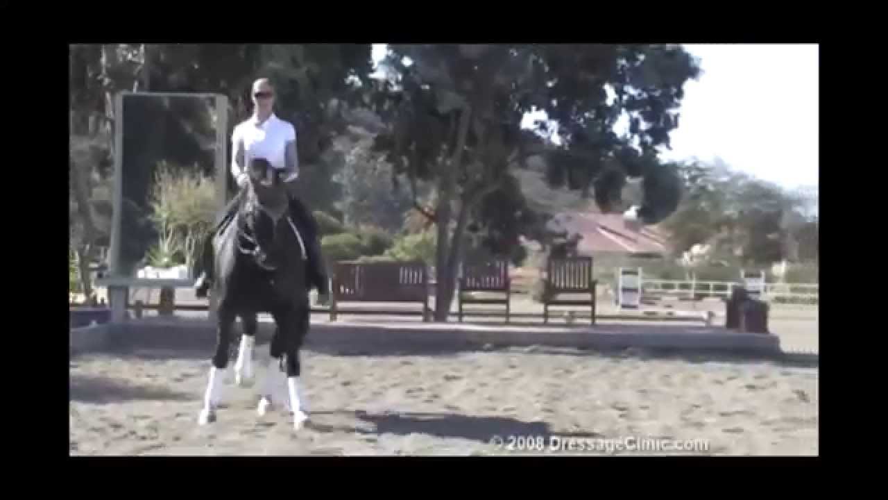 DressageClinic.com Presents Shannon Peters Riding Lexor 15 yrs. old ...