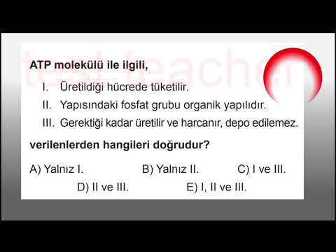 9 sınıf test çöz . Biyoloji Tekrar testi -10 soru Seri -1