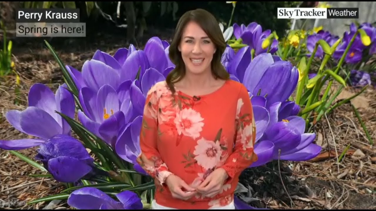 Kristi Gordon - Global BC - Monday, March 20, 2023. #meteorologist # ...