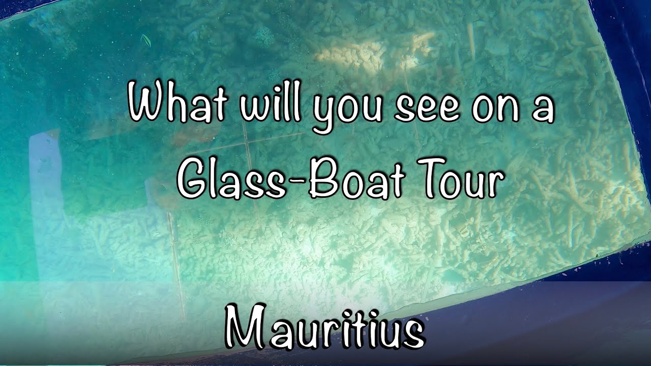 We Tested Mauritius Glass Boat Tours and Here's the Honest Truth - YouTube