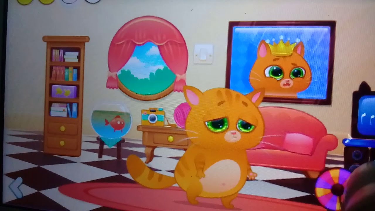 Main Game Kucing - YouTube