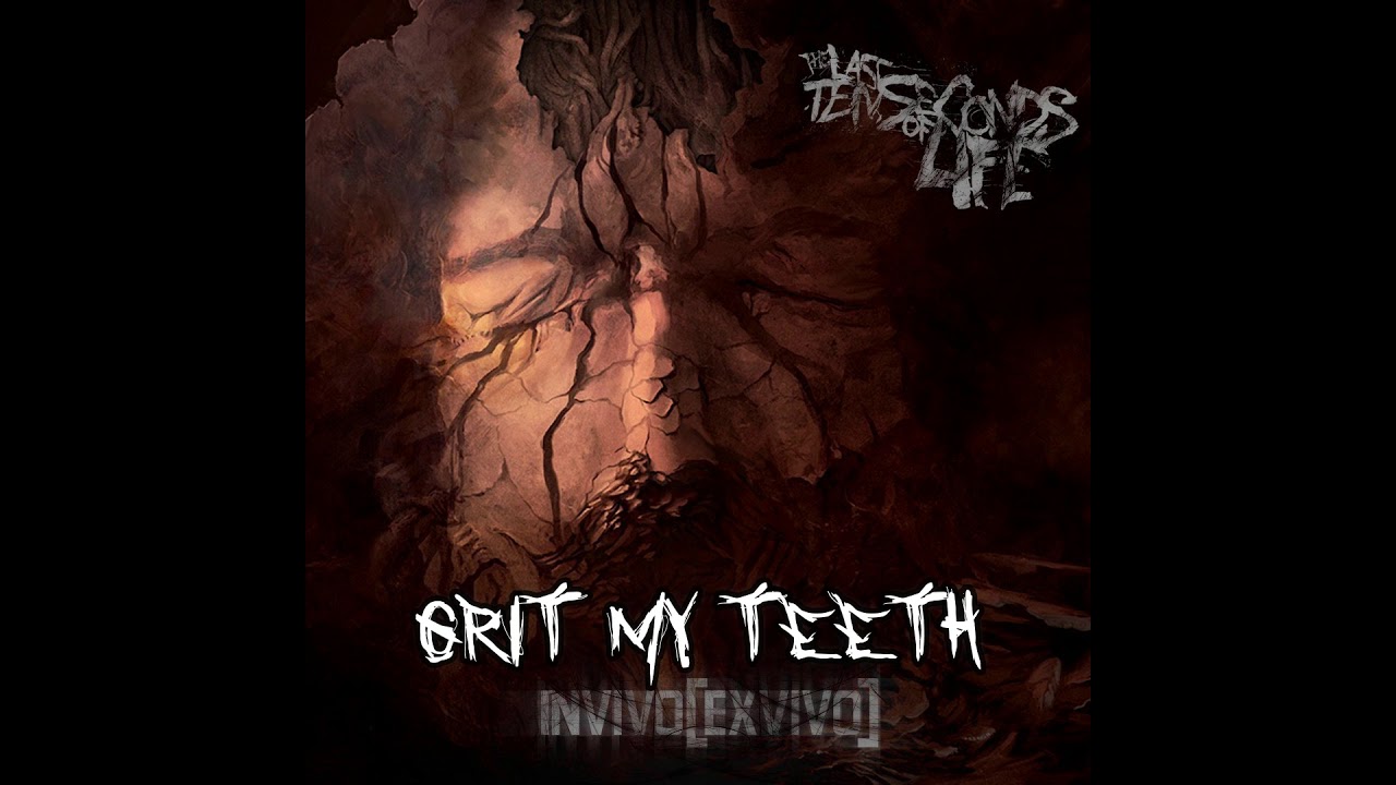 Numbskull Cover Ft. Dan Watson of Infant Annihilator Lyric Video *2013 ...