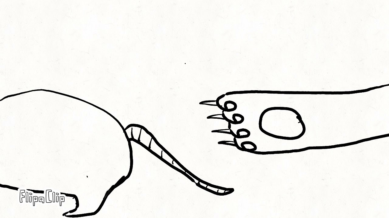 Cat Claw Slash / First Animation - YouTube