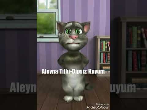 Konuşan Kedi Tomdan En Popüler Şarkılar