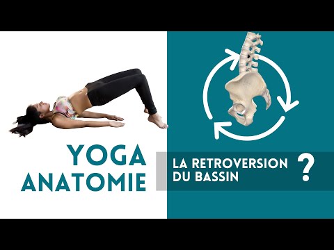 Yoga & Anatomie : la rétroversion du bassin - YouTube