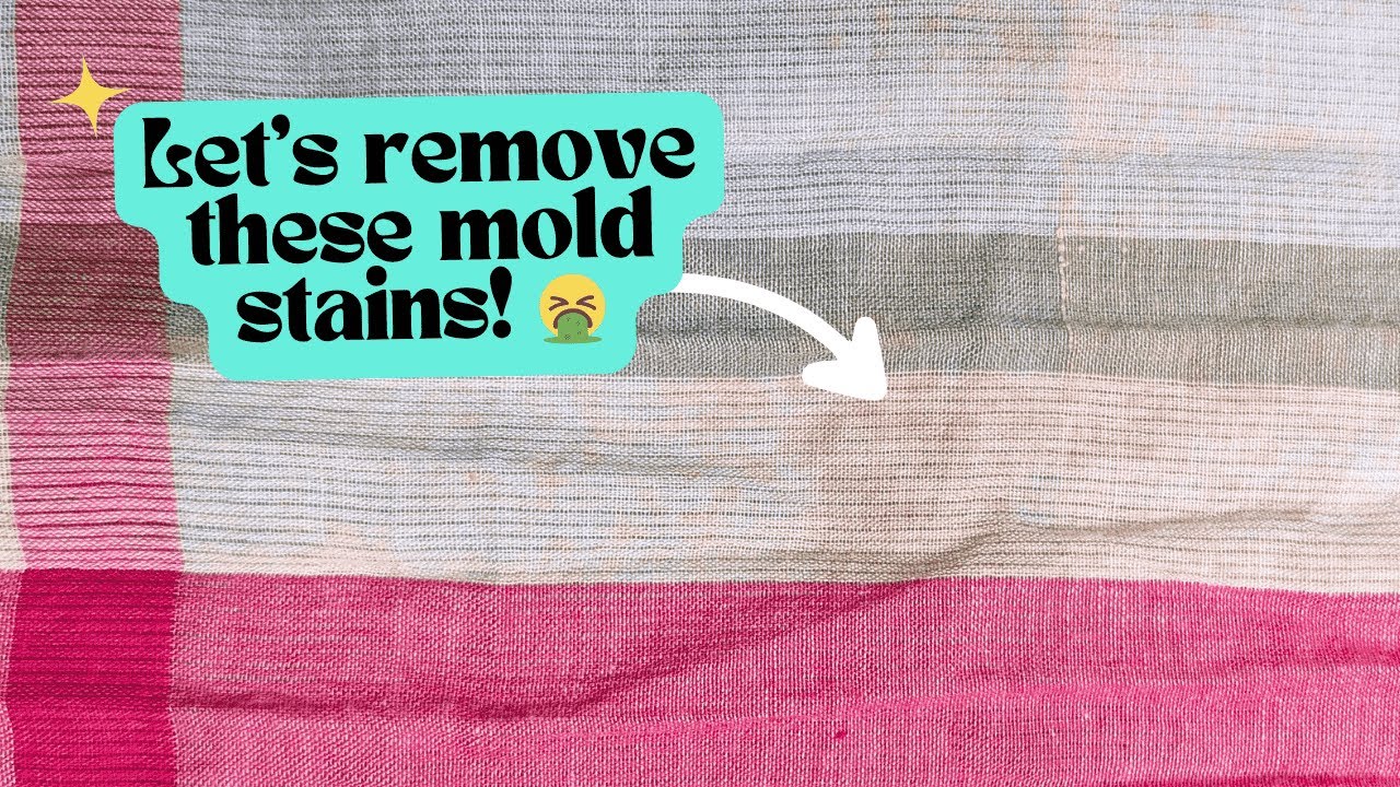 How to remove mold stains from clothes with just one product! Tutorial ...