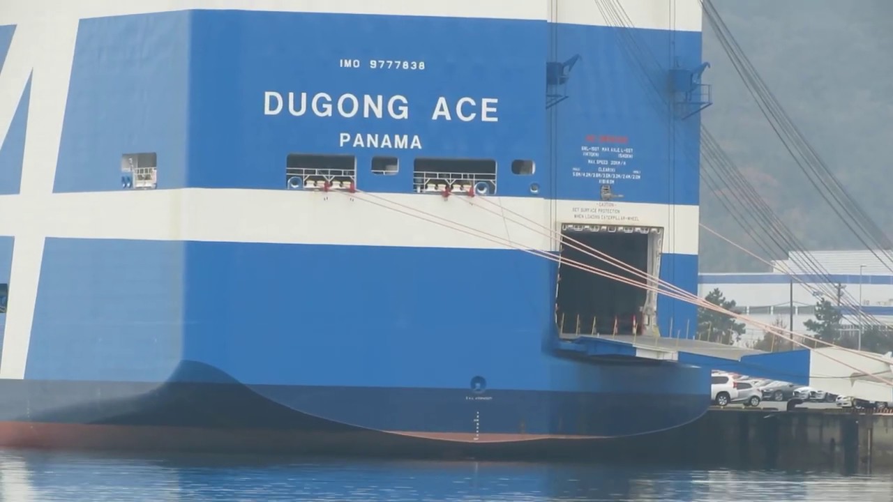 DUGONG ACE - YouTube