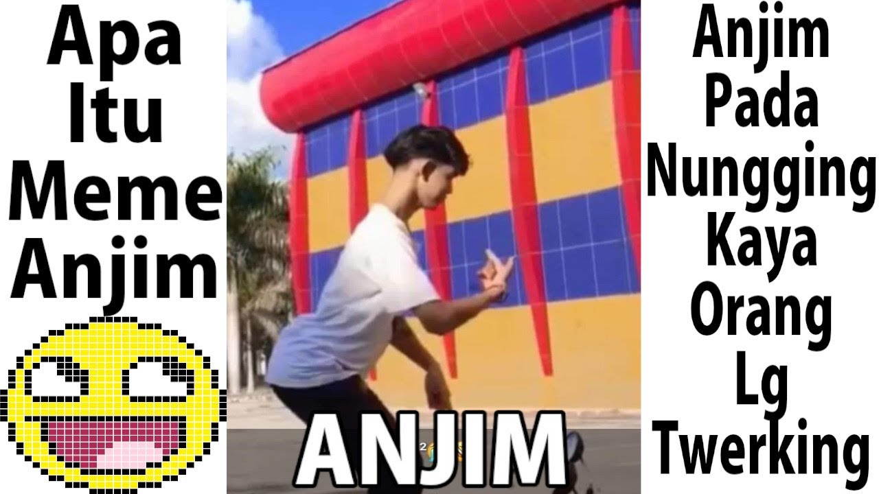 Apa Itu Meme Anjim - YouTube