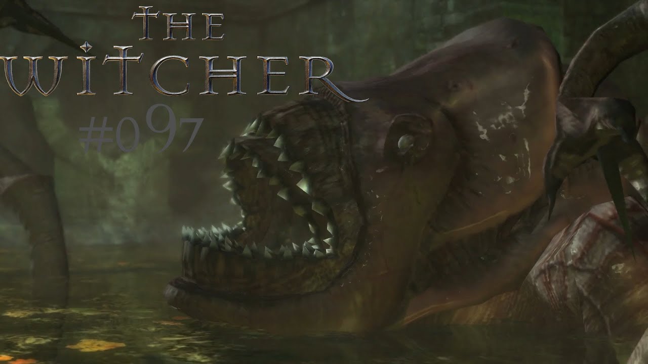 Let's Play The Witcher #097 [Deutsch] [Full HD] - Der Zeugl in den ...