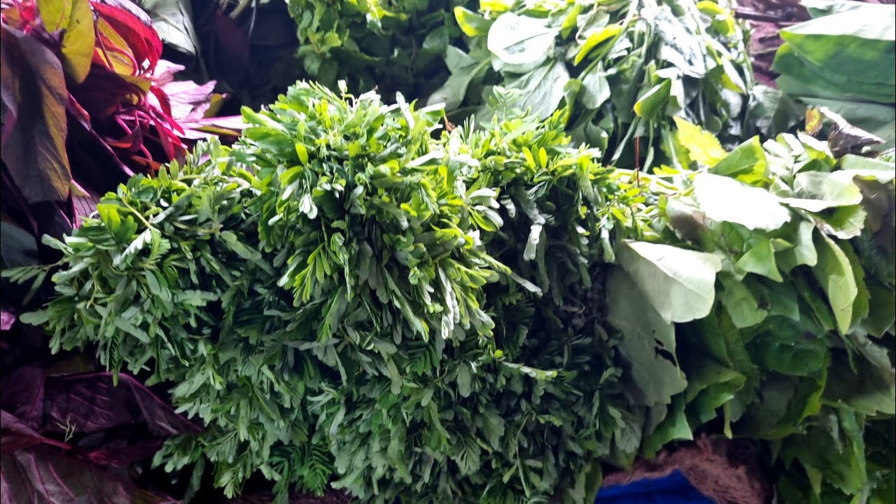 How to cook rainy season special raan bhaji/Kevla leaves stir fry ...