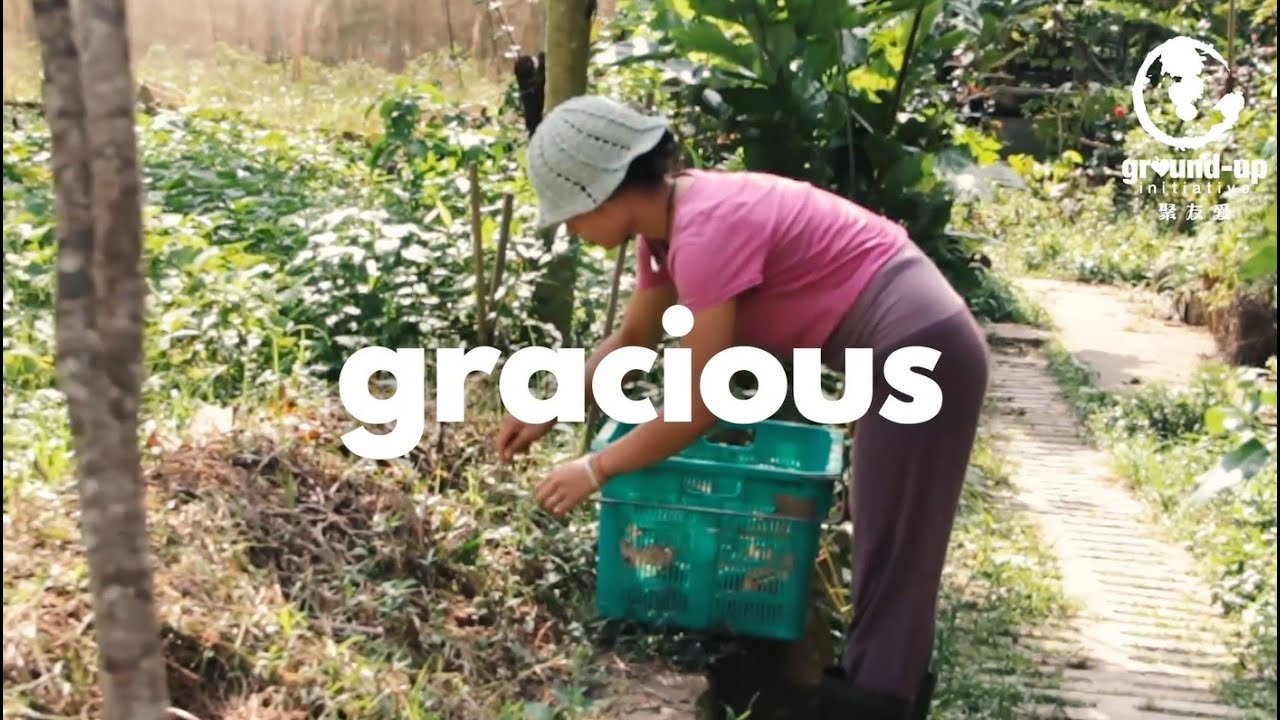 GRACIOUS - YouTube