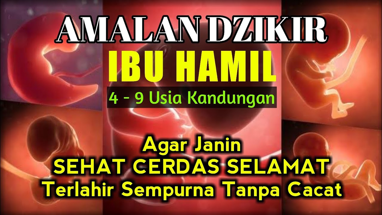 Amalan Dzikir Ibu Hamil Agar Janin Sehat Cerdas & Terlahir Tanpa Cacat ...