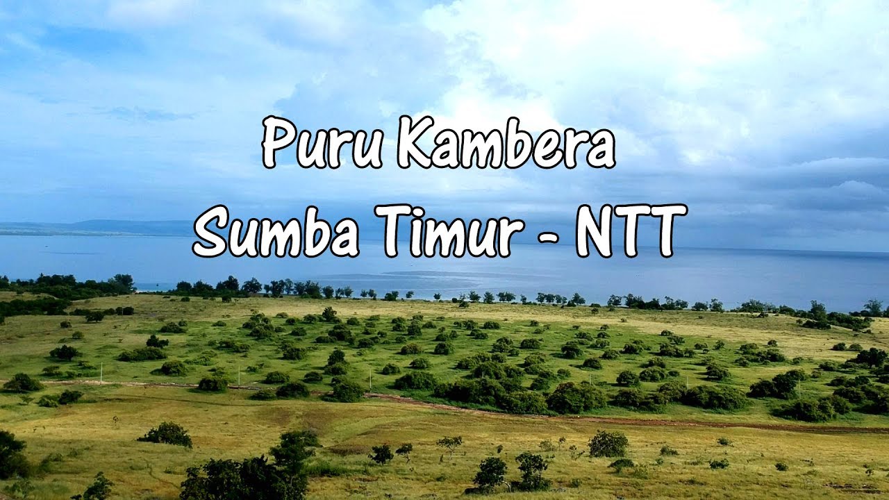 Tempat Wisata di Sumba Timur, NTT - Pantai Puru Kambera - YouTube
