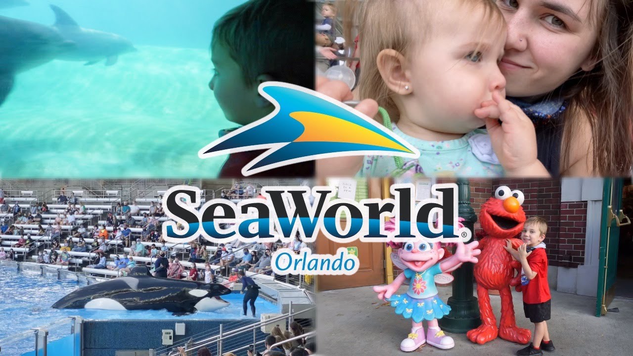 Our First Family Trip To Seaworld! | SEAWORLD ORLANDO FLORIDA | FL ...