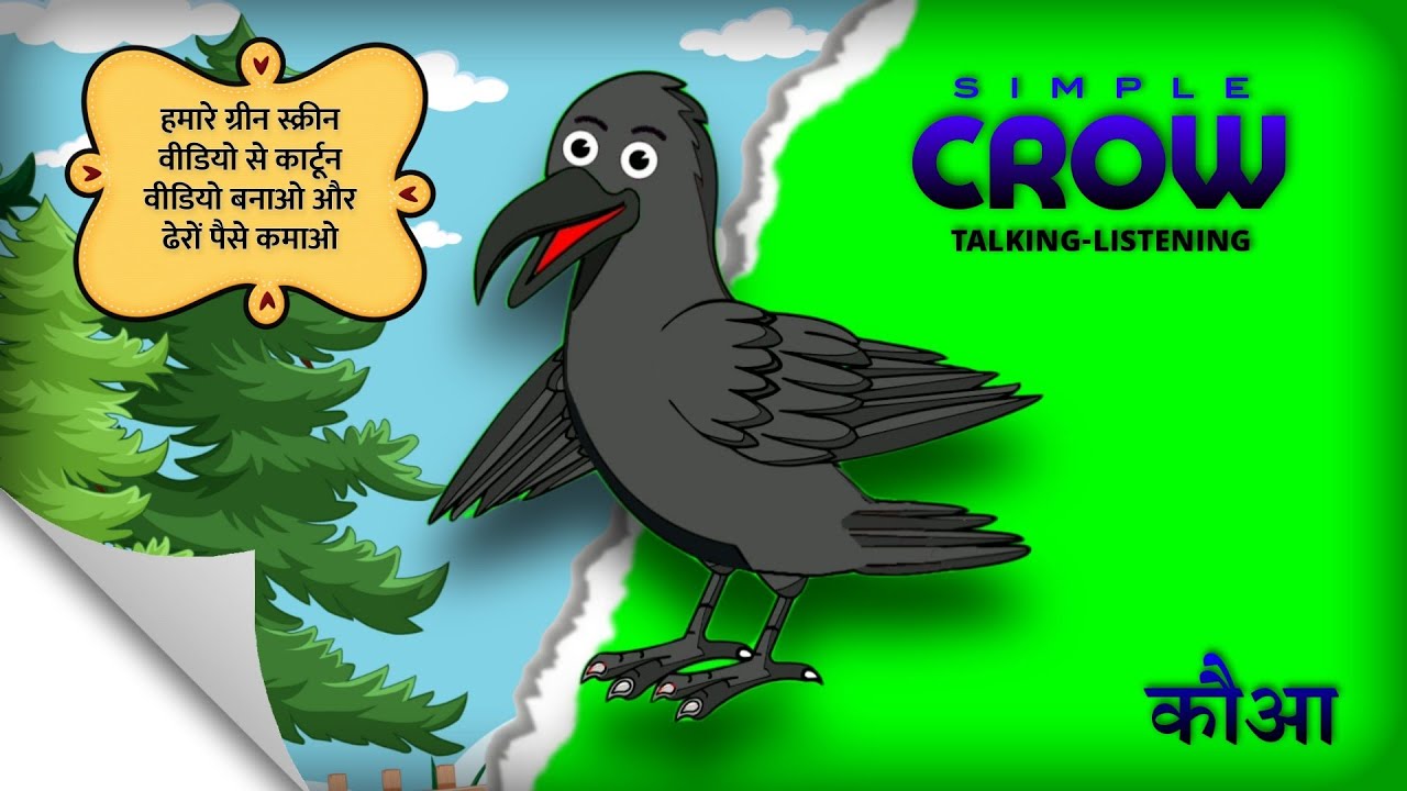 Animated Crow | Talking Listening | कौआ | Green screen | Crying Angry ...