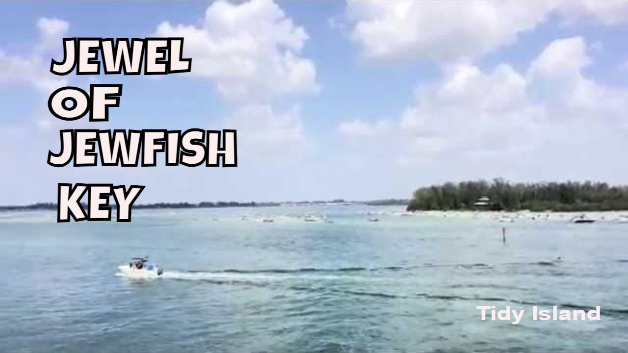 🚤Experience the Magic of Jewfish Key🏝️: A Showcase of Florida's Best ...