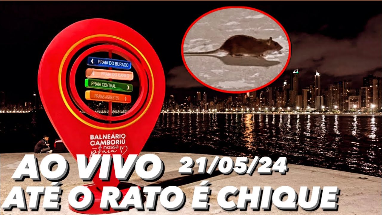 RATO CHIQUE dando Rolle em Balneário Camboriú AO VIVO Santa Catarina # ...