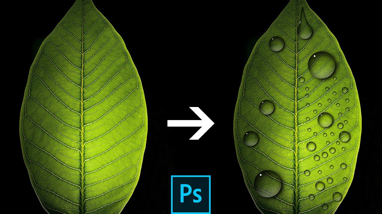 Create Realistic Water Drop In Photoshop || Photoshop Water Drop Effect ...