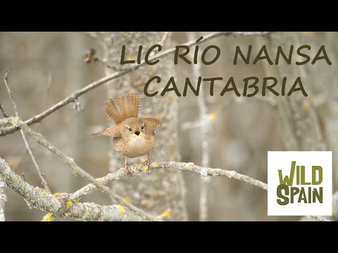 Wild Spain - Capítulo 54 - LIC Río Nansa, Cantabria.