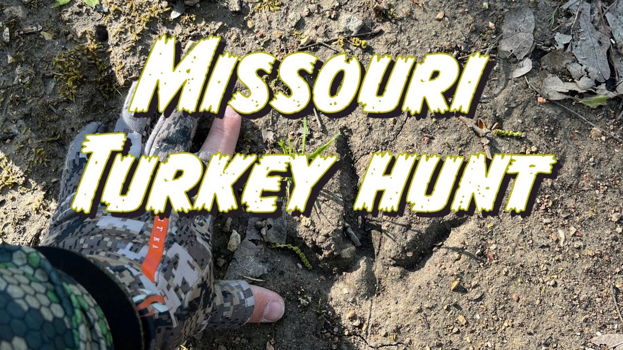 Spring-Fling 2023: Missouri turkey hunt/ Colin’s first turkey!! Part 1 ...