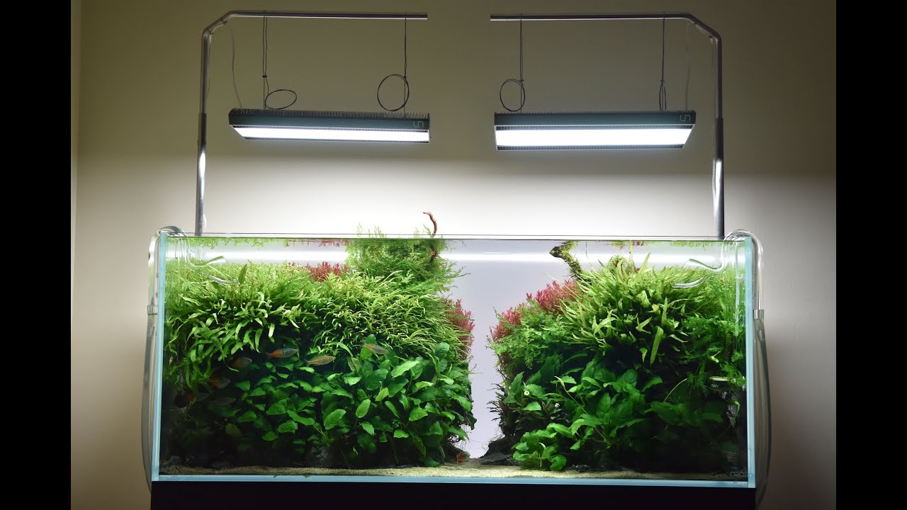 Final Cinematic Video - 120P Aquarium after 15 Months! - YouTube