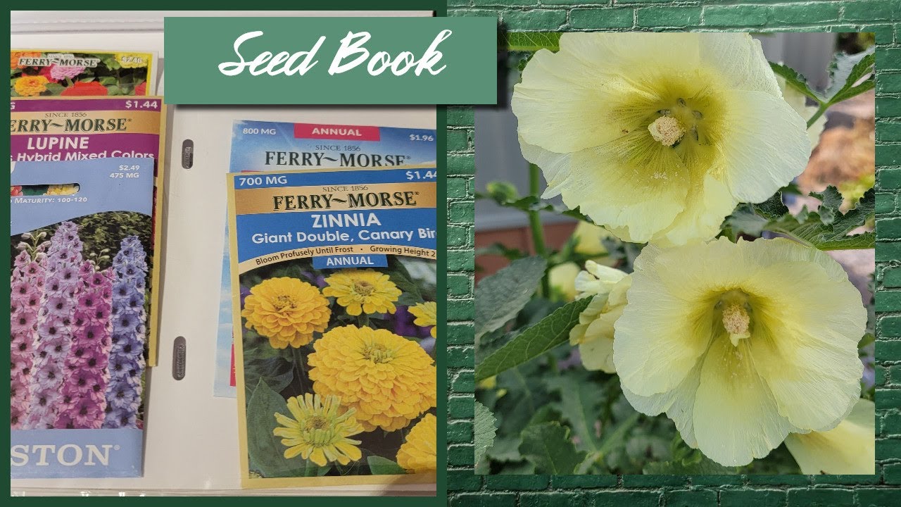How to make a Simple Seed Packet Book - YouTube