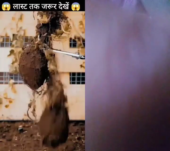 February 10, 2025 - YouTube