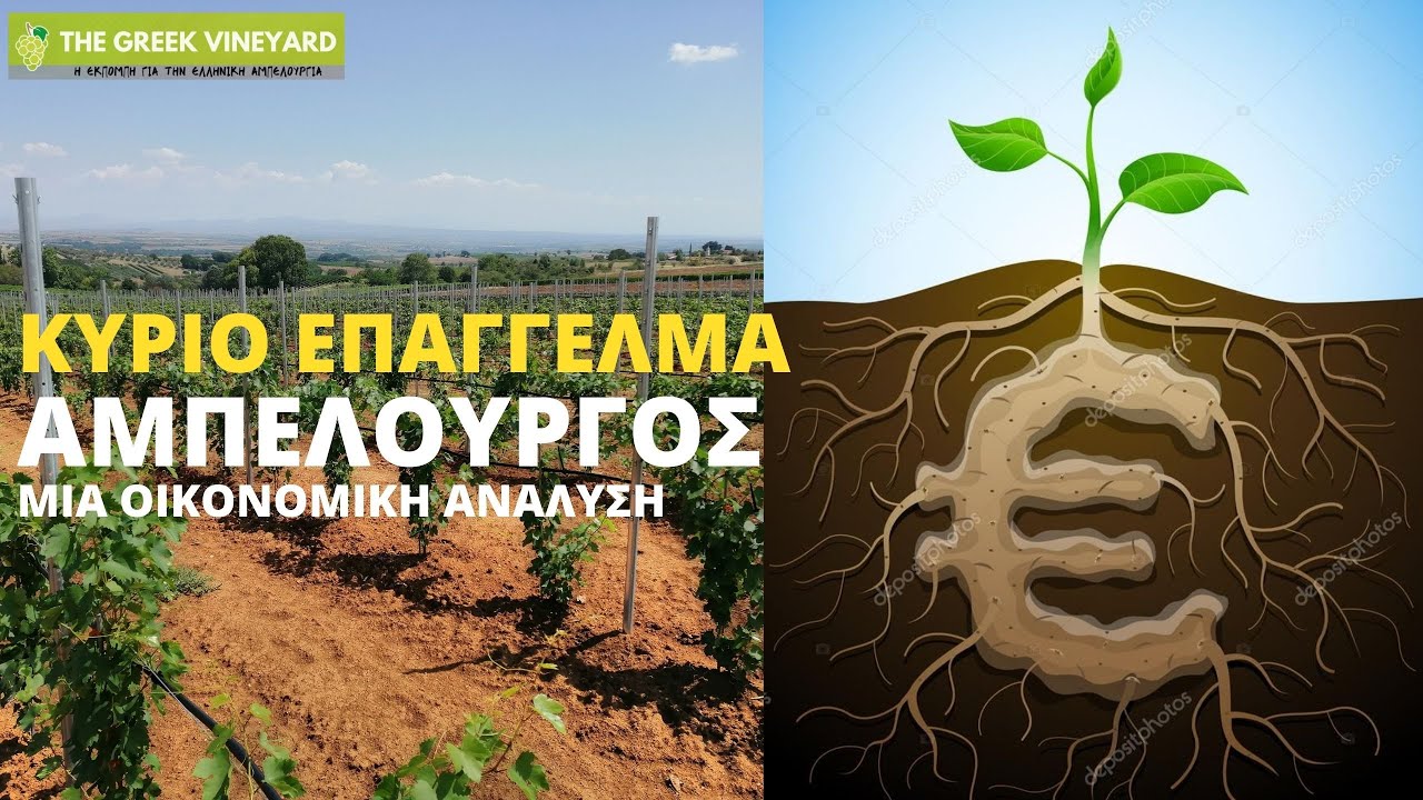 Επάγγελμα Αμπελουργός | Πόσα στρέμματα χρειάζεσαι για κύριο επάγγελμα ...