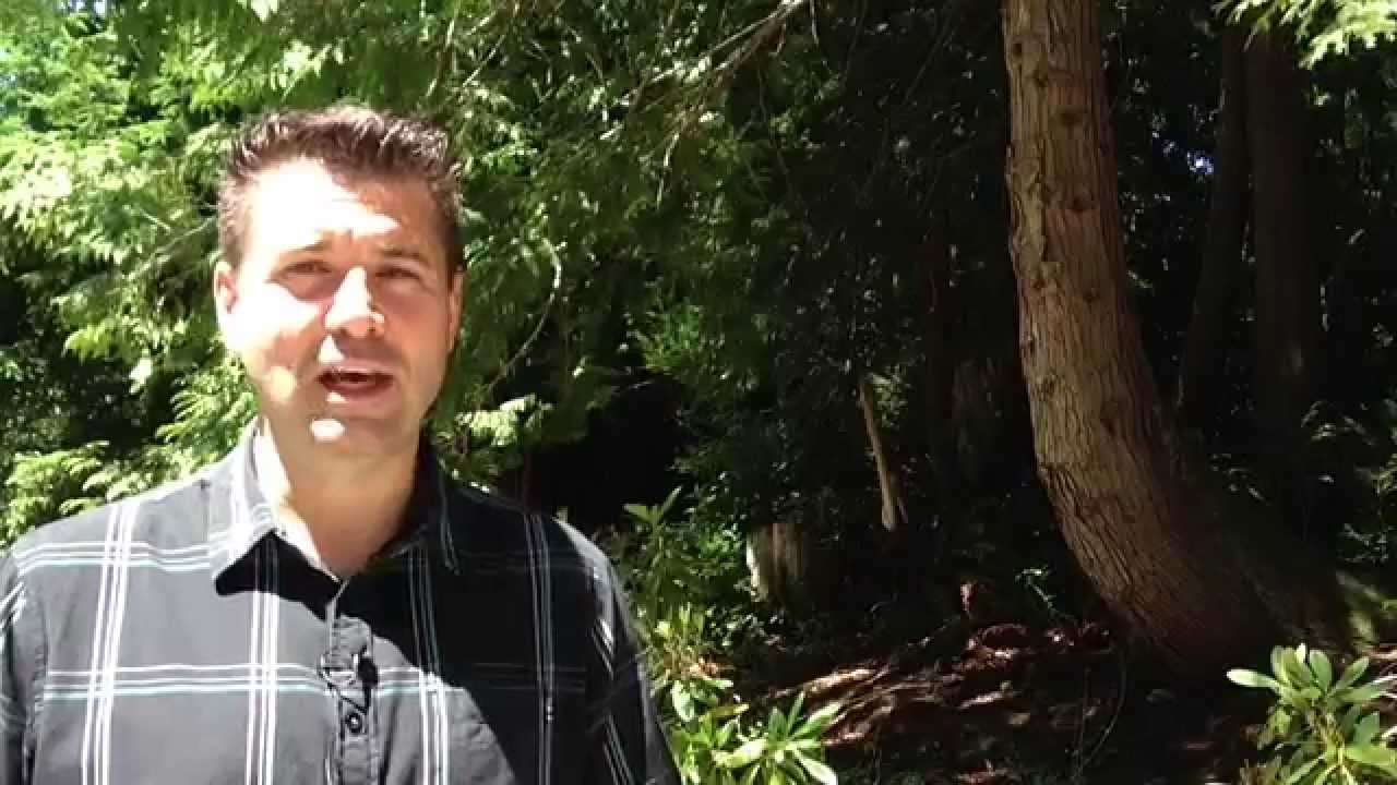 Alan Stewart's Real Estate 101 for June 30, 2014 - YouTube