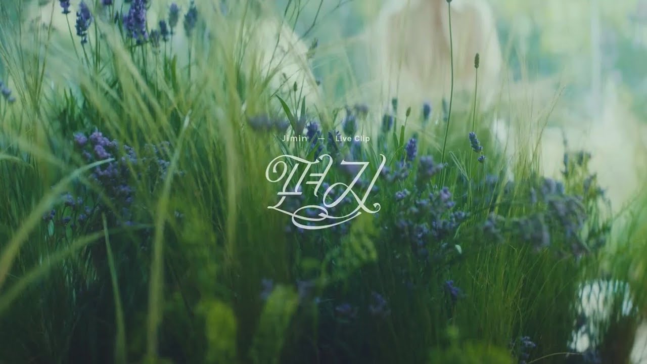 BTS Jimin (방탄소년단 - 지민) - Dear ARMY (편지) Live Clip MMSUB - YouTube