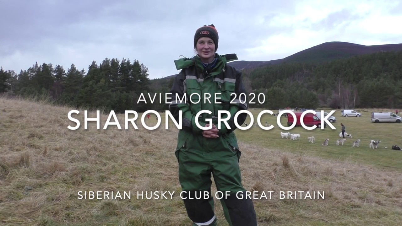Sharon Grocock - YouTube