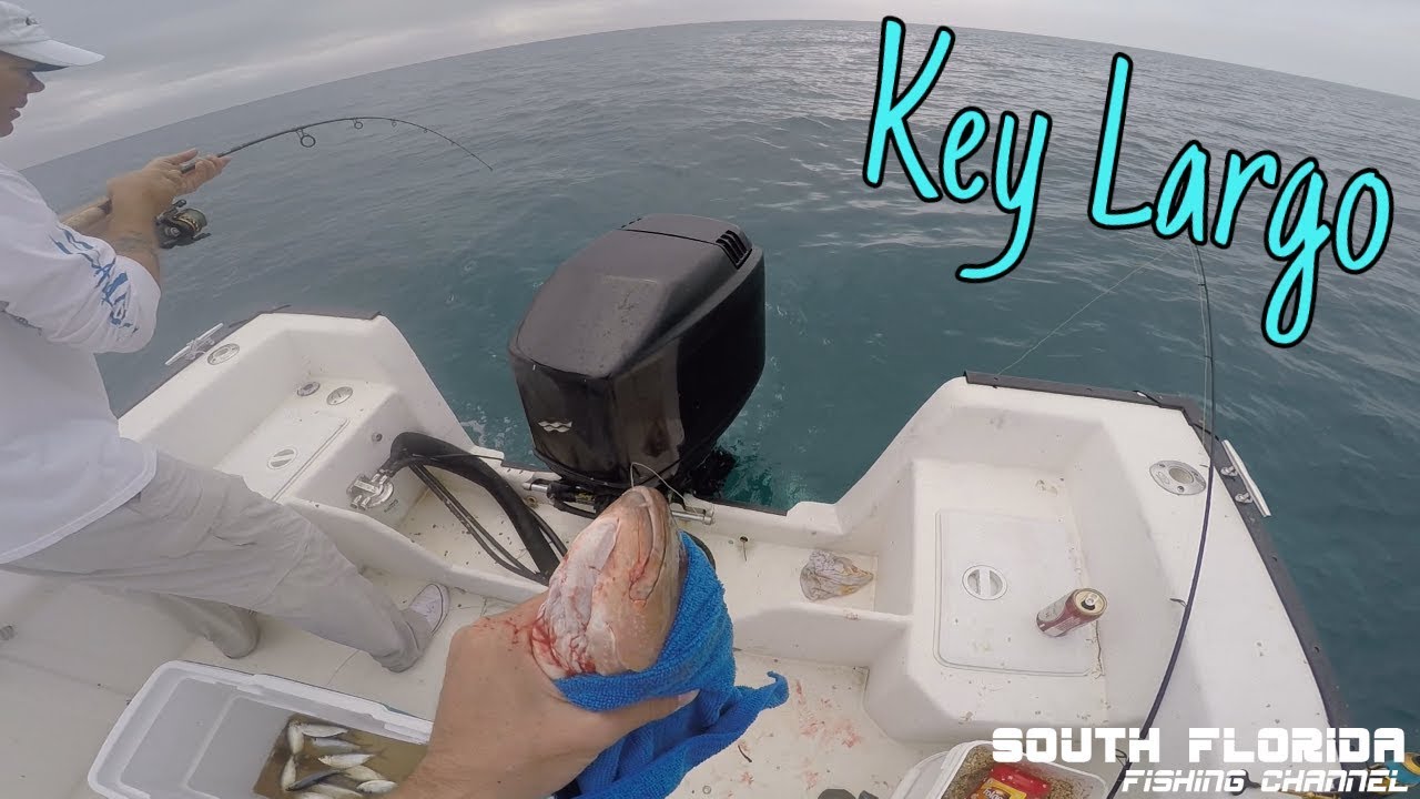 Taking a Subscriber Patch Reef Fishing | Key Largo Catch N Cook - YouTube