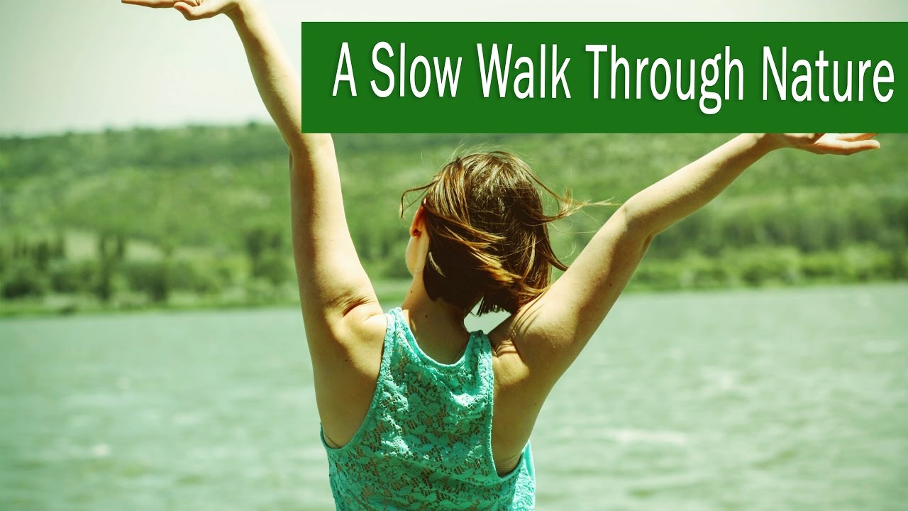 Guided Meditations - A Slow Walk Through Nature - Meditation Music with ...