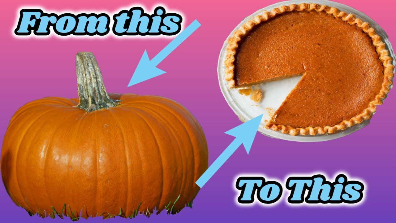 Pumpkin to Pie || Processing a huge pumpkin - YouTube